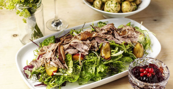 Recipes: Divine Duck | lady.co.uk