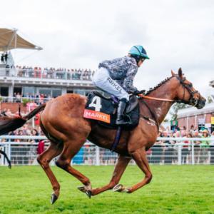 Glorious Goodwood Magnolia Cup | lady.co.uk