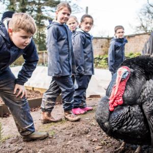 Growing hope for inner city children | lady.co.uk