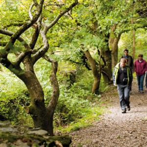 Foraging fun | lady.co.uk
