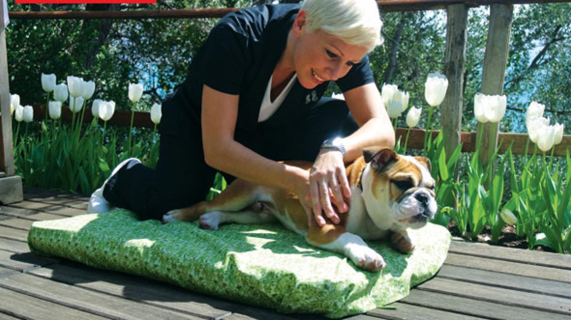 The ruff guide to dog massage | lady.co.uk